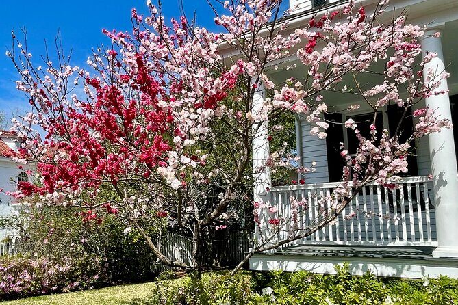 Charleston History Tour / - What You Can Expect