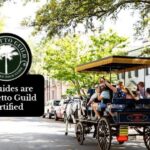 Charleston, SC: Private Daytime Horse-Drawn Carriage Ride - Authentic Insights from Reviews