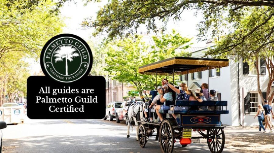 Charleston, SC: Private Daytime Horse-Drawn Carriage Ride - Authentic Insights from Reviews