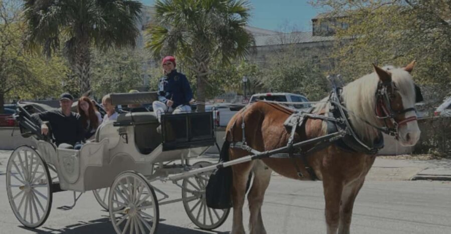 Charleston, SC: Private Evening Horse & Carriage Tour - In-Depth Look at the Itinerary and Highlights