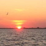 Charleston: Sunset Harbor Cruise - Who Should Consider This Tour?