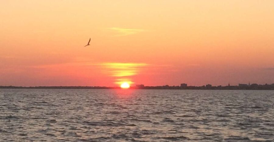 Charleston: Sunset Harbor Cruise - Who Should Consider This Tour?