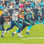 Charlotte: Panthers Football Game at Bank of America Stadium - What To Expect During the Game Day