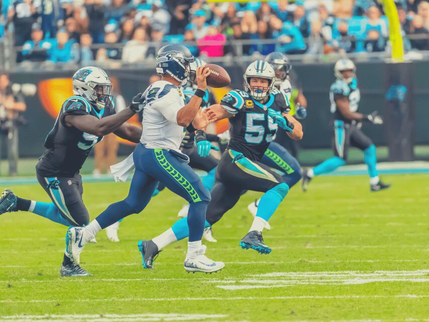 Charlotte: Panthers Football Game at Bank of America Stadium - What To Expect During the Game Day