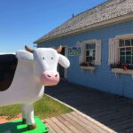 Charlottetown: Historical Architecture Guided Walking Tour - The Itinerary and Highlights