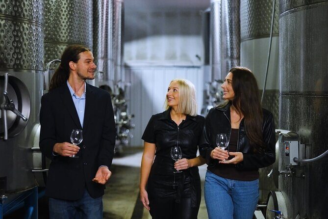 Chattanooga Wine Tasting with Art Sightseeing Tour - What to Expect from the Experience
