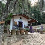 Chautla's Castle, Lavender Farm, and Valquirico Private Tour - Pricing and Value