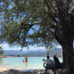 Check out Hierve el Agua, Mitla, the Tule Tree, Rugs, and a Mezcal Distillery Tour - Who Will Love This Tour?