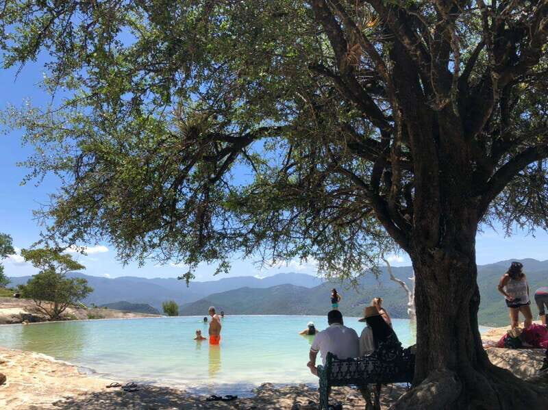 Check out Hierve el Agua, Mitla, the Tule Tree, Rugs, and a Mezcal Distillery Tour - Who Will Love This Tour?