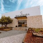 Cheese and Wine Route Tour with starting from Querétaro - Practical Aspects and Value