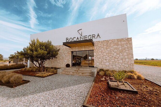 Cheese and Wine Route Tour with starting from Querétaro - Practical Aspects and Value