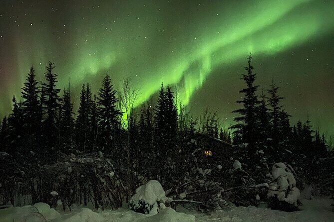 Chena Hot Springs Northern Lights Aurora Borealis From Fairbanks - Transportation and Group Size