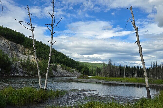 Chena Hot Springs Tour: Relax in Natural Mineral Waters - The Experience: What Makes It Special