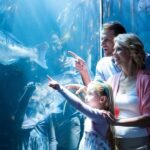 Chicago: 1-5 Day Attraction Pass with Shedd Aquarium - Who Will Benefit Most?