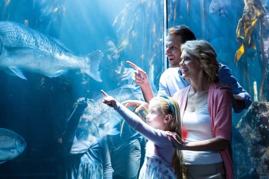 Chicago: 1-5 Day Attraction Pass with Shedd Aquarium - Who Will Benefit Most?