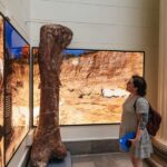 Chicago: Field Museum of Natural History Ticket or VIP Tour - Who Should Visit?