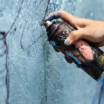Chicago: Offbeat Guided Street Art Tour - Who Will Love This Tour?