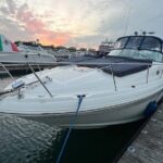 Chicago Private Boat Day - Sunset, Skyline & Celebration - Why Choose This Tour?