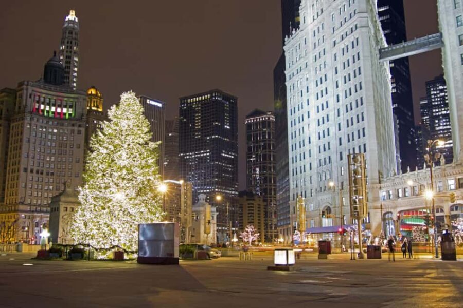 Chicagos Festive Lights: Private Magical Christmas Journey - Who Is This Tour Best For?