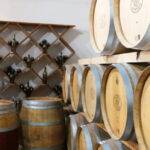 Chihuahua: Insignia Winery Wine Tasting Experience - Who Should Consider This Tour?