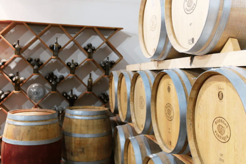 Chihuahua: Insignia Winery Wine Tasting Experience - Who Should Consider This Tour?