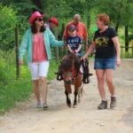 Children Mini Horse Rides - Who Will Love This Tour?