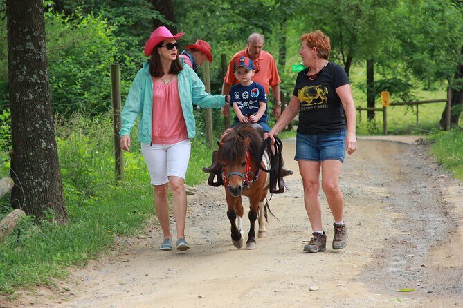 Children Mini Horse Rides - Who Will Love This Tour?