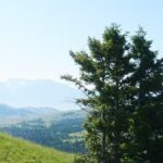 Chimney Rock Trail Ride - Authentic Experiences and Traveler Feedback