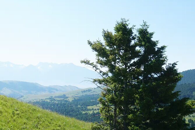 Chimney Rock Trail Ride - Authentic Experiences and Traveler Feedback