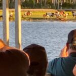 Chincoteague: Assateague Island Sunset Boat Cruise - Wildlife and Landscape: What You’ll See