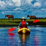 Chincoteague Canoe Rental around Assateague Island - The Sum Up