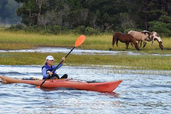 Chincoteague Kayak Rentals around Assateague Island - What Travelers Say and Why It Matters