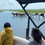 Chincoteague: Premier Pony & Wildlife Small Group Boat Tour - The Boats and Comfort