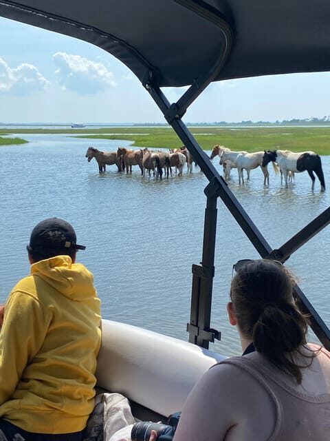 Chincoteague: Premier Pony & Wildlife Small Group Boat Tour - The Boats and Comfort