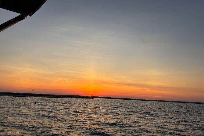 Chincoteague Wildlife Sunset Boat Tour - The Value of the Tour