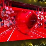 Christmas Holiday Lights Private Tour - The Guide & Atmosphere