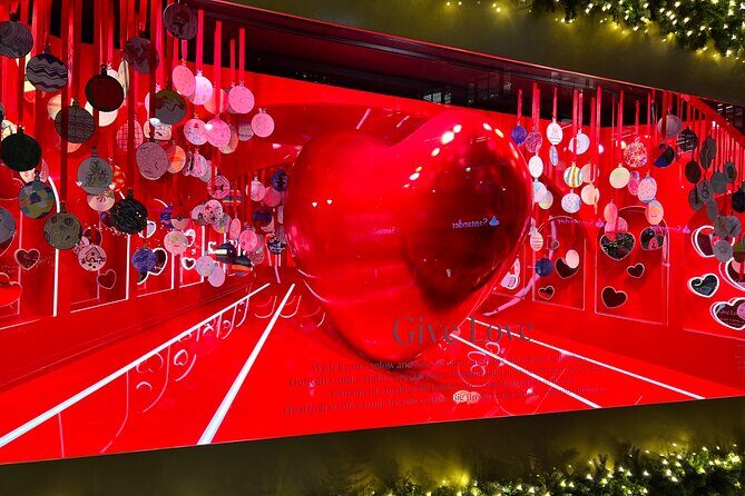 Christmas Holiday Lights Private Tour - The Guide & Atmosphere