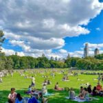 Christmas in Central Park: Horse Carriage Holiday Tour - The value of storytelling and local insights