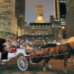 Christmas in New York: Holiday Lights Horse Carriage Ride - An In-Depth Look at the Experience
