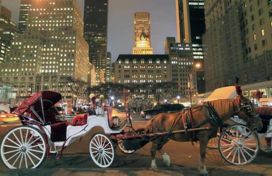 Christmas in New York: Holiday Lights Horse Carriage Ride - An In-Depth Look at the Experience