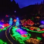 Christmas in Victoria and the Butchart Gardens - What Makes This Tour Stand Out?