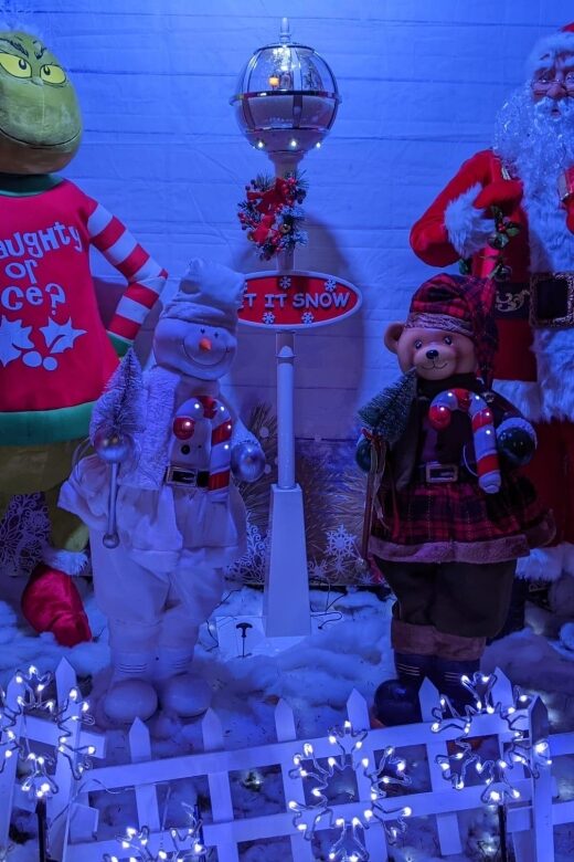 Christmas Light Night tour - The Brooklyn Neighborhoods: Dyker Heights and Bay Ridge