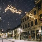 Christmas Walking Tour in Old Montreal - Who Should Consider This Tour?
