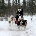 Churchill Polar Bear Experience  5-Night Classic Tour - Cultural and Educational Highlights