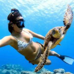 Cielo y Cielito With Transfer, Catamaran, 5 hours Open Bar and Lunch - Why This Tour Works Well