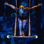 Cirque du Soleil JOYÀ Admission Tickets - Who Should Consider Visiting JOYÀ?