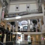 City tour; Like a Montrealer - What You Can Expect from the Experience