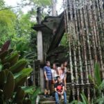 Ciudad Valles: Surrealist Garden Tour in Xilitla - The Natural Marvel of Sotano de las Huahuas