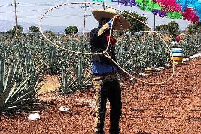 Classic Tequila Tour and CANTARITOS EL GÜERO - Who Is This Tour Best For?