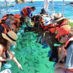 Clear Boat Ride in Los Cabos - Authentic Feedback from Travelers